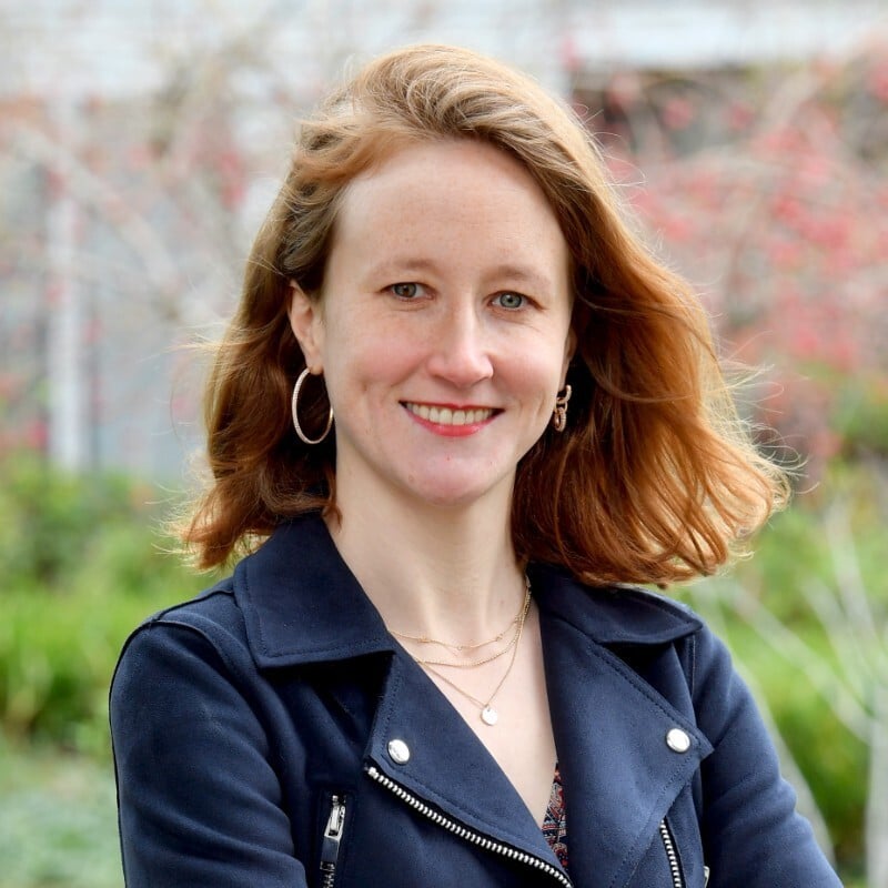 Automated Palletizing: How it Works and How to Get Started